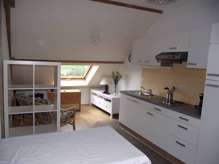 Appartement Zen En Famenne. Ciney, Dinant Proches. - Rochefort