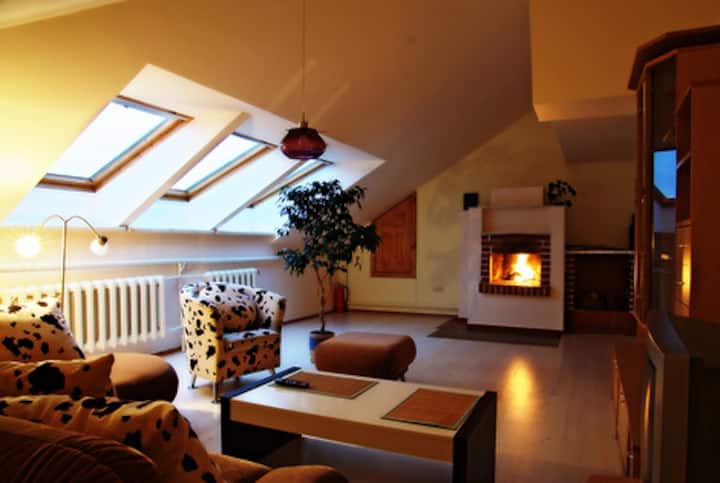 Vokieciu Apartments With A View - Vilnius