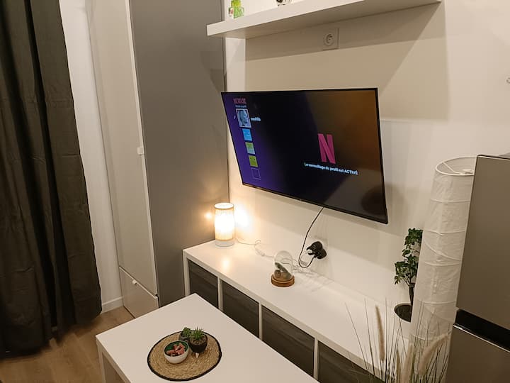 Studio Très Agréable - Roubaix
