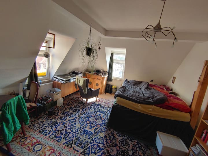 Lichtdurchflutetes Zimmer In  Altstadtromantik - Erfurt
