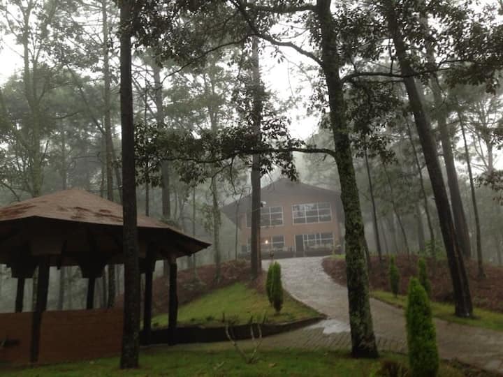 Pino Real 휴가 숙소 & 숙박시설 - Michoacán, 멕시코 | 에어비앤비