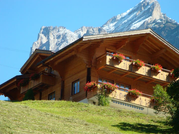 2 Rooms Appartement / Eiger View/ Mountain View - Grindelwald