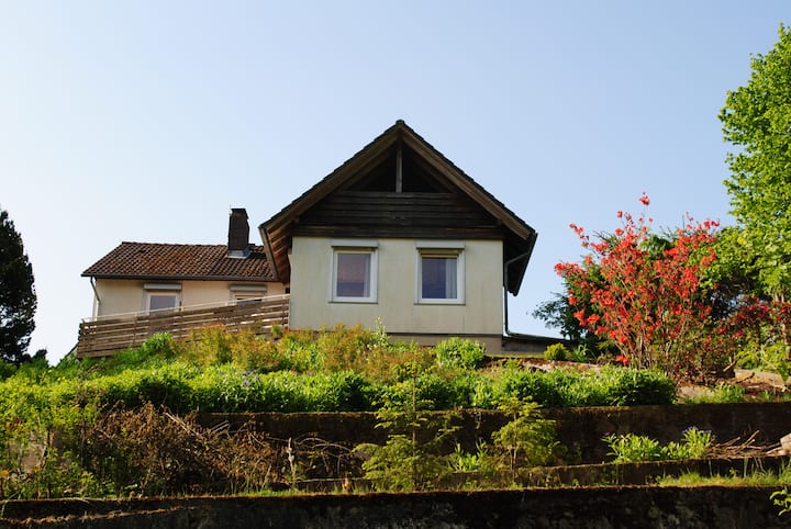 Haus In Wieda/süd-harz Am Waldrand - Braunlage