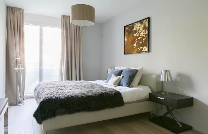 Perfect 3bd Family Apt+car Park - Geneva