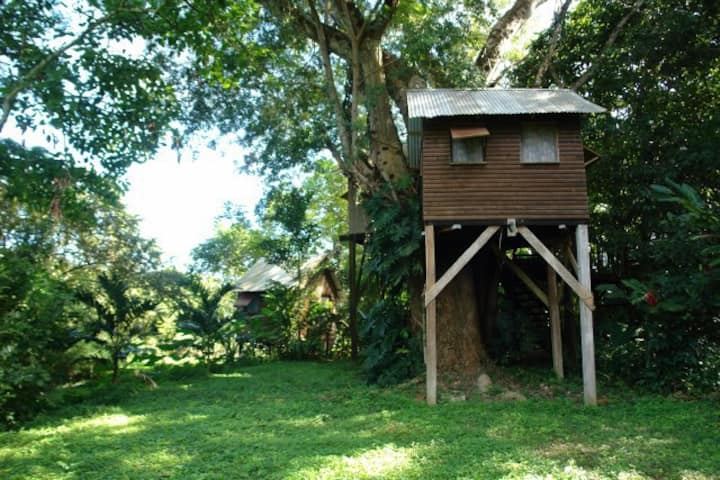 Parrot Nest Treehouse 2 (Gold Standard) - Belize