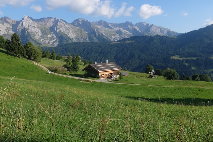 Chalet En Pleine Nature 4-10 Personnes Vue Superbe - Le Grand-Bornand