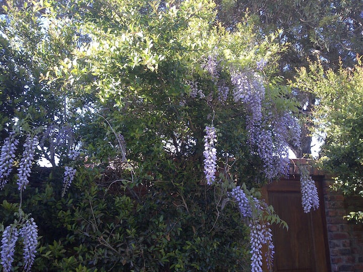 Tickey Cottage, Walmer, Port Elizabeth - Port Elizabeth