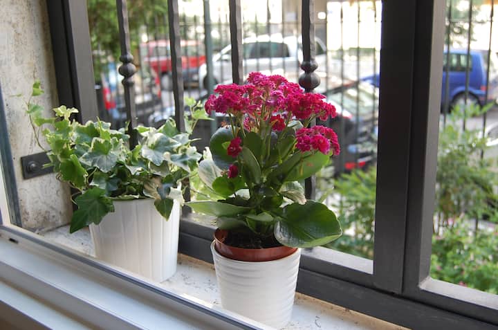 Casa Per Brevi E Lunghi Soggiorni - Milão