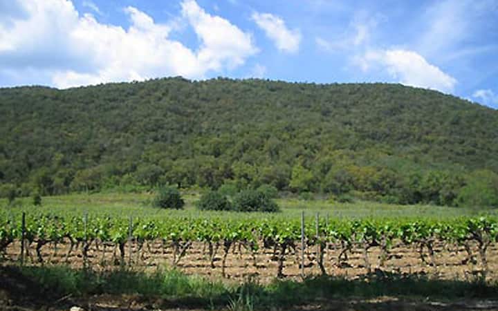 Gîte Au Domaine De Siouvette - Hyères