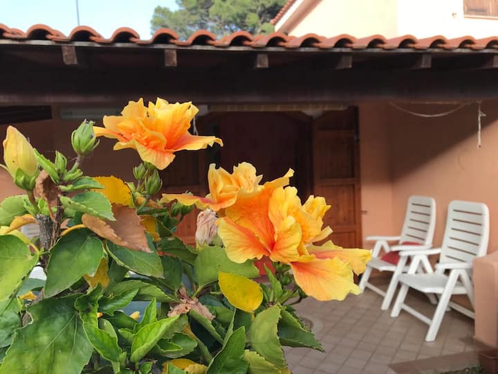 Villetta Ibiscus - Solanas