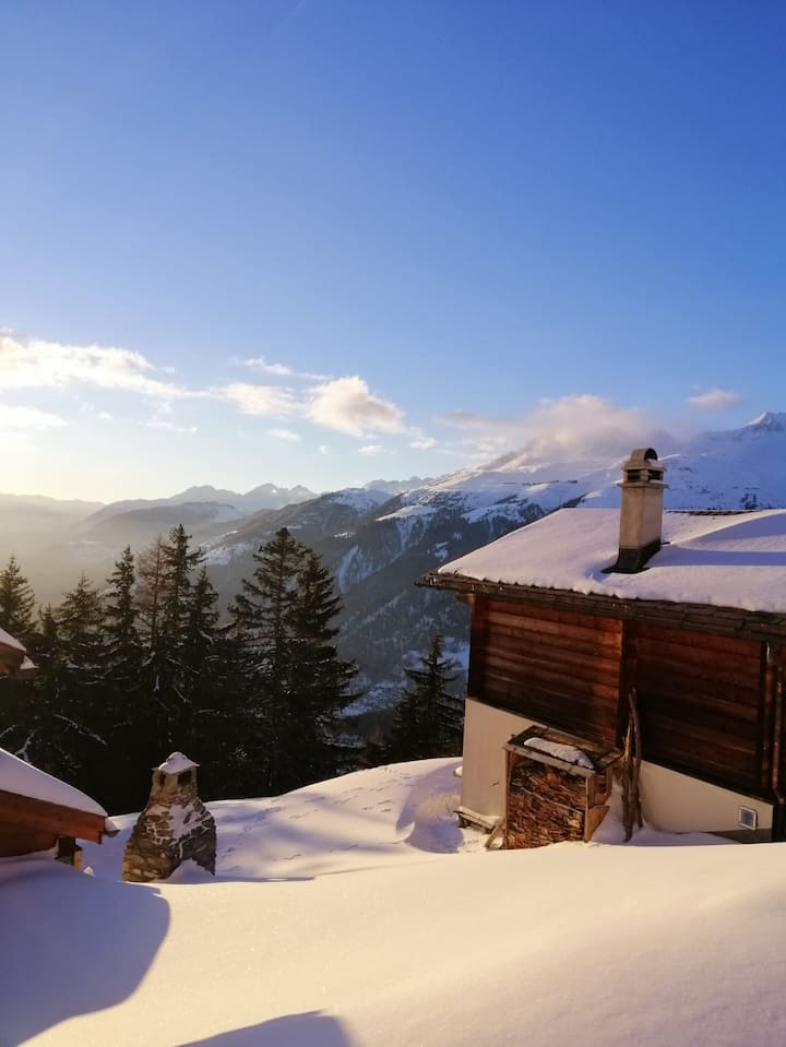 Aletsch Hütte - Bettmeralp