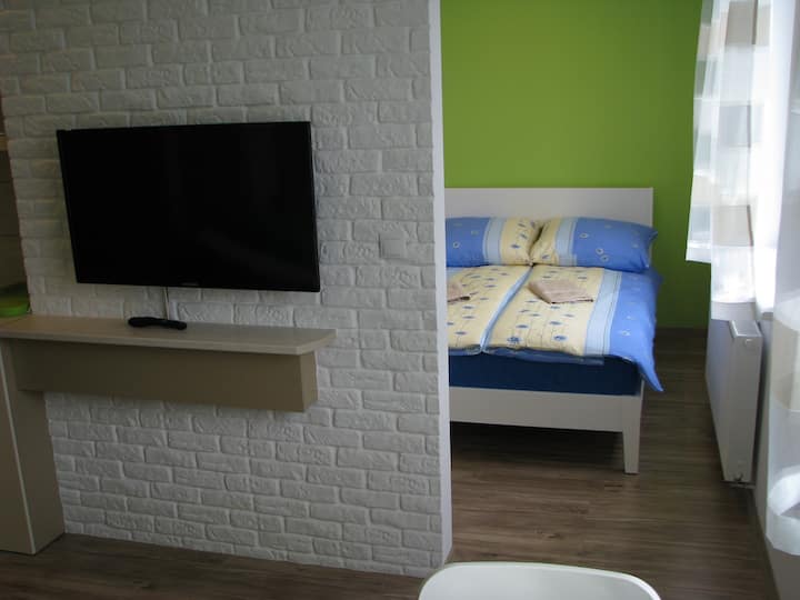 Villa Sart - Comfortable Apartment In Gdańsk Oliwa - Gdańsk