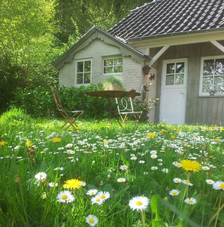 Studio-cabane à L'alterre Durbuy (Ex-l'alliange) - Durbuy