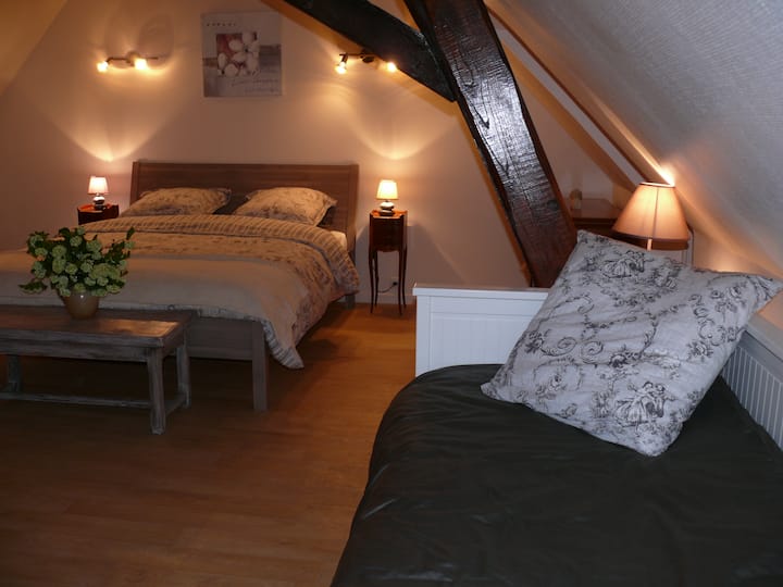 Gîte Beaux Rêves
Calme, Jardin 
7min De Beauval - ZooParc de Beauval