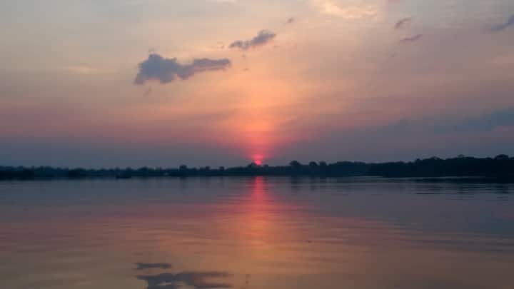 Pacotes De Passeios Ecologico - Manaus