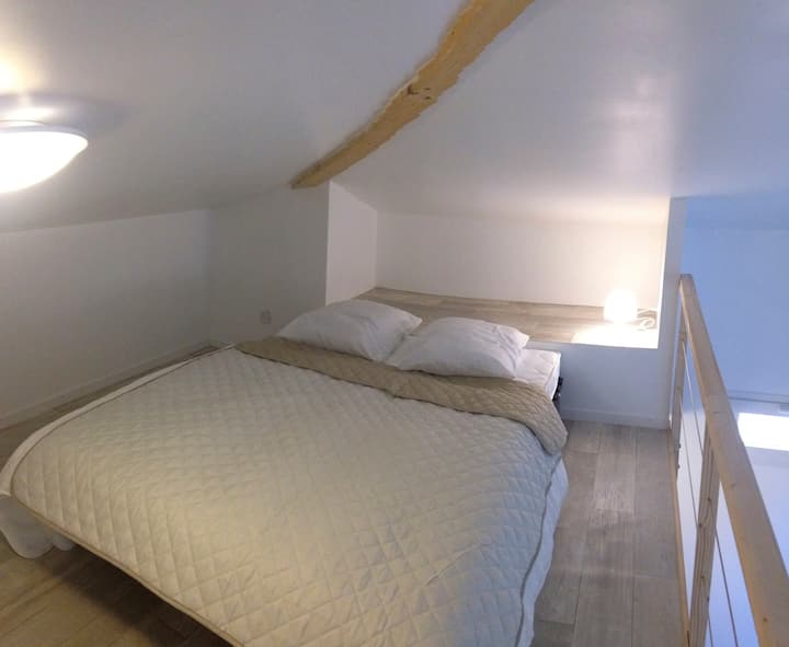 Appart Entier Moderne, Agréable, Verdoyant - Toulouse