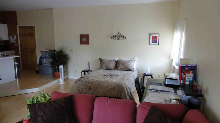 Lavishly Furnished Luxury Studio - Watertown, NY