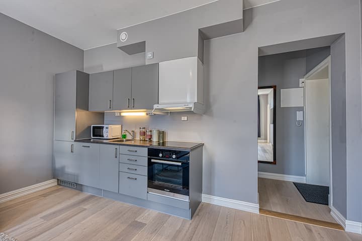 Three-bedroom Apartment For Five With Balcony - Oslo