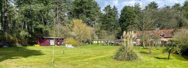 Under The Damson Tree & Copper Beech View Cabins - Norfolk