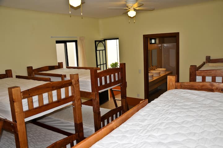 Vive Guadalajara A Un Súper Precio En Dormitorio - Guadalajara, Jalisco, Mexique