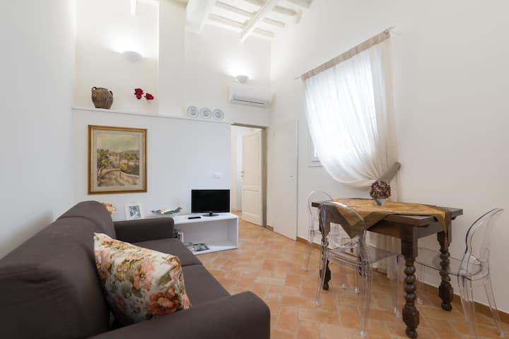 Lovely And Quiet Flat In S.spirito With Courtyard - Florence
