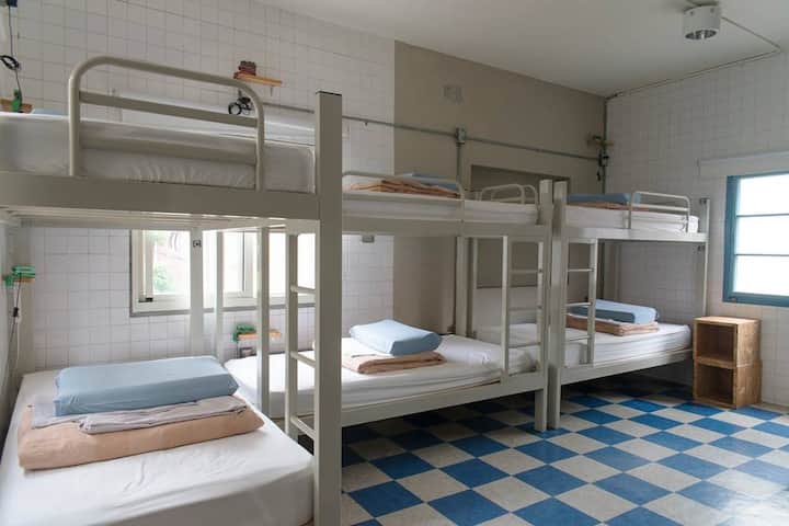 Dorm1828  Mixed Dorm&shared Bath 混合宿舍3床 3 Beds - 台南 東區