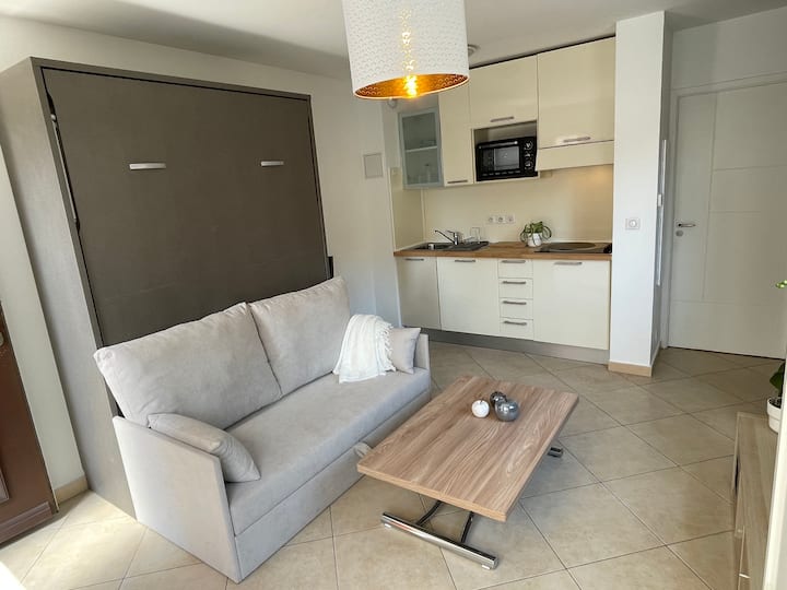 Joli Studio Avec Parking - Résidence Avec Piscine - Montecarlo