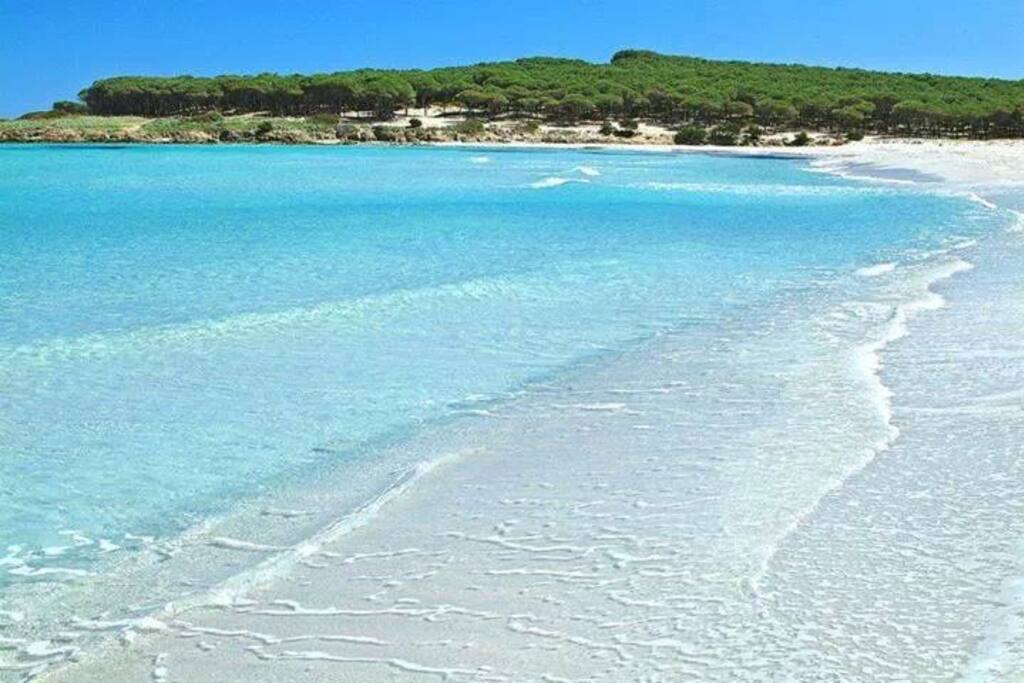 VILLA SAN GAVINO - Houses for Rent in Budoni, Sardegna, Italy