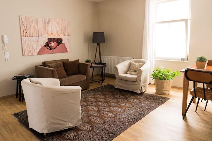 Apartment 1.og Mit Superschnellem Wlan-basf Tor 7 - Ludwigshafen