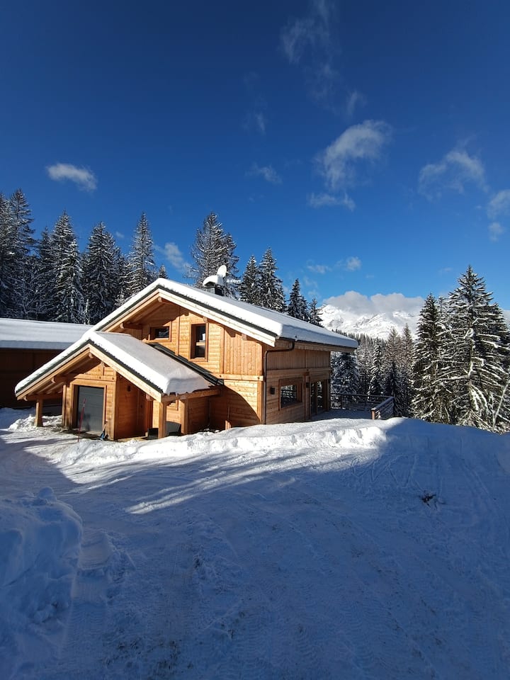 Chalet 8 Personnes En Pleine Nature - Combloux