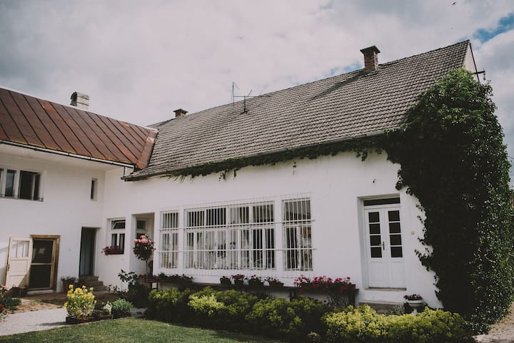 Vidiecky Dom - Zelenýdeň - Slovakia