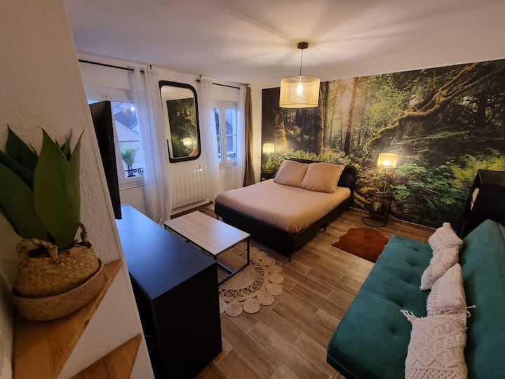 L'appartement Du Cerf 30m2 Hyper Centre - Fontainebleau