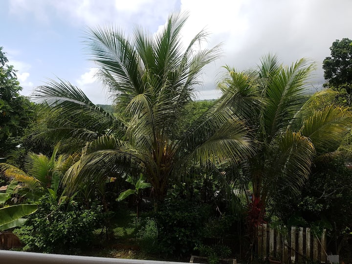 Beau Logement F3  à La Campagne - Guadeloupe