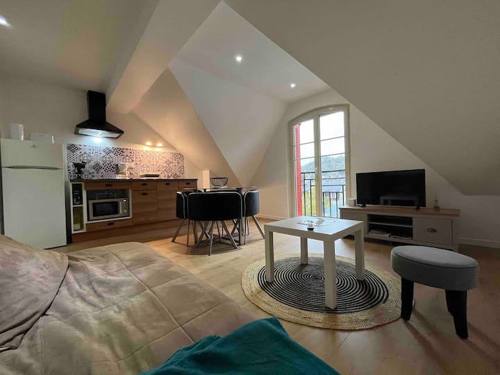 Vue Panoramique Exceptionnelle Sur Les Montagnes - La Bourboule