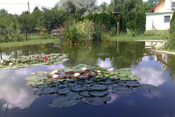 Kisoroszi Guest House - Visegrád