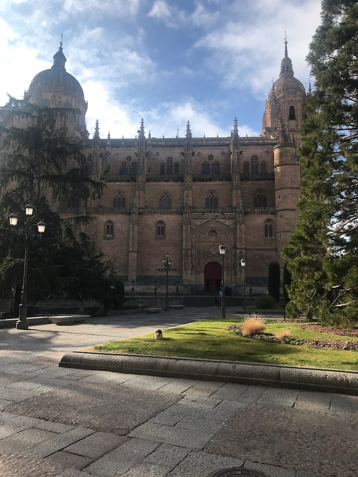 Apartamento Junto A La Catedral - Salamanca