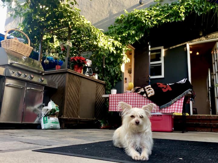 Great For Dog Owners - Guest House Studio W/ King - Inglewood, CA