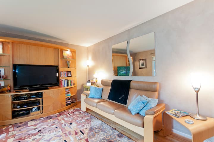 Clean,quiet, Contemporary - Ann Arbor, MI