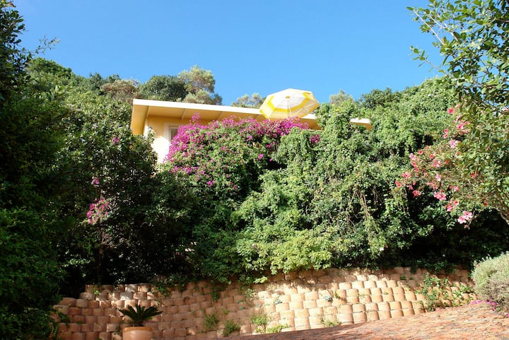 Justfor2 - Cozy Sunbird Cottage - Wilderness