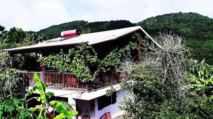 Chalet "Janepol" Avec Vue Anse Figuier - Martinica