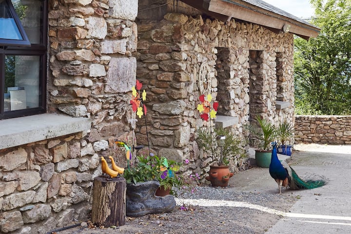 Renovated Old Traditional Farmhouse - Wexford