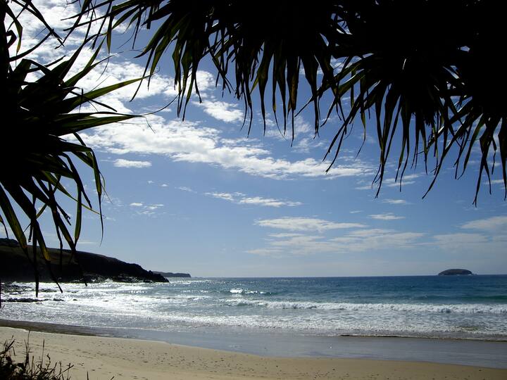 Saltwater Beachfront Accommodation - Coffs Harbour