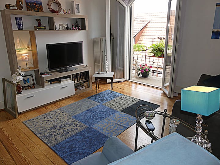 Atout Coeur 2 Pièces De 70m2 - Terrasse De 50 M2 - Saverne