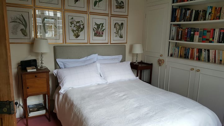 Gorgeous Wheelchair Friendly Home Near Town - Newmarket