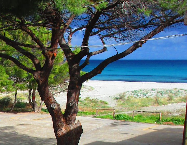 Apartment Near The Pine  Beach(10mt) - Posada