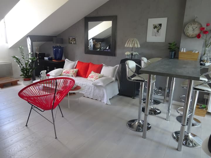 Grand Studio De Caractère - Boulogne-Billancourt