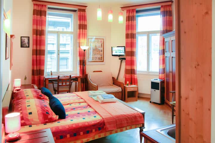 Central,belle Pas Cher Appartment 1 - Praga