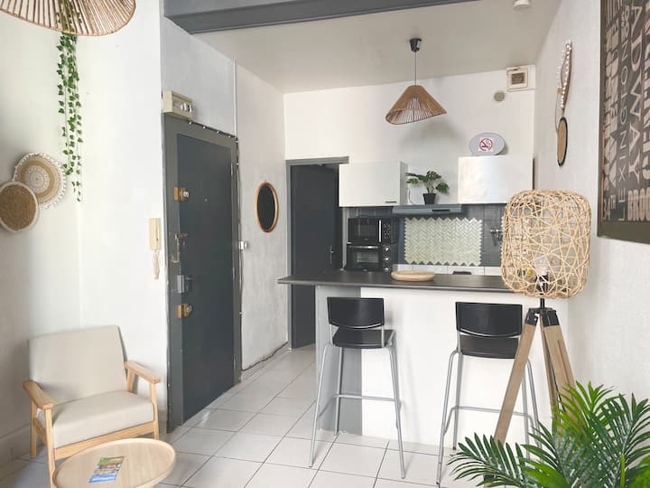 Appartement Des Cathares - Carcassonne
