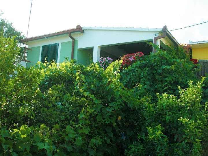 Viktorija Apartment  4+1 With Sea View And Balcony - Seget Vranjica