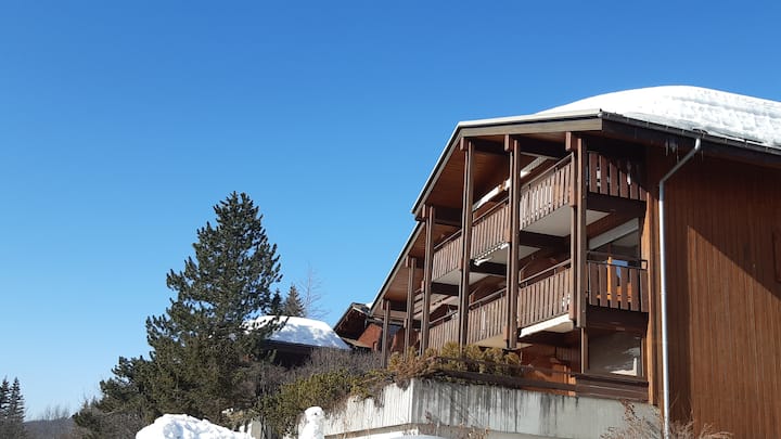 Charmant Appartement Au Pied Des Pistes - Le Grand-Bornand
